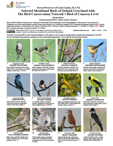 Selected Shrubland Birds of Orland Grassland with The Bird Conservation Network's Bird of ...