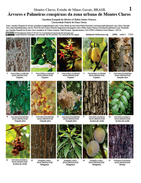 Conspicuous trees and palms in the urban area of Montes Claros - Field ...