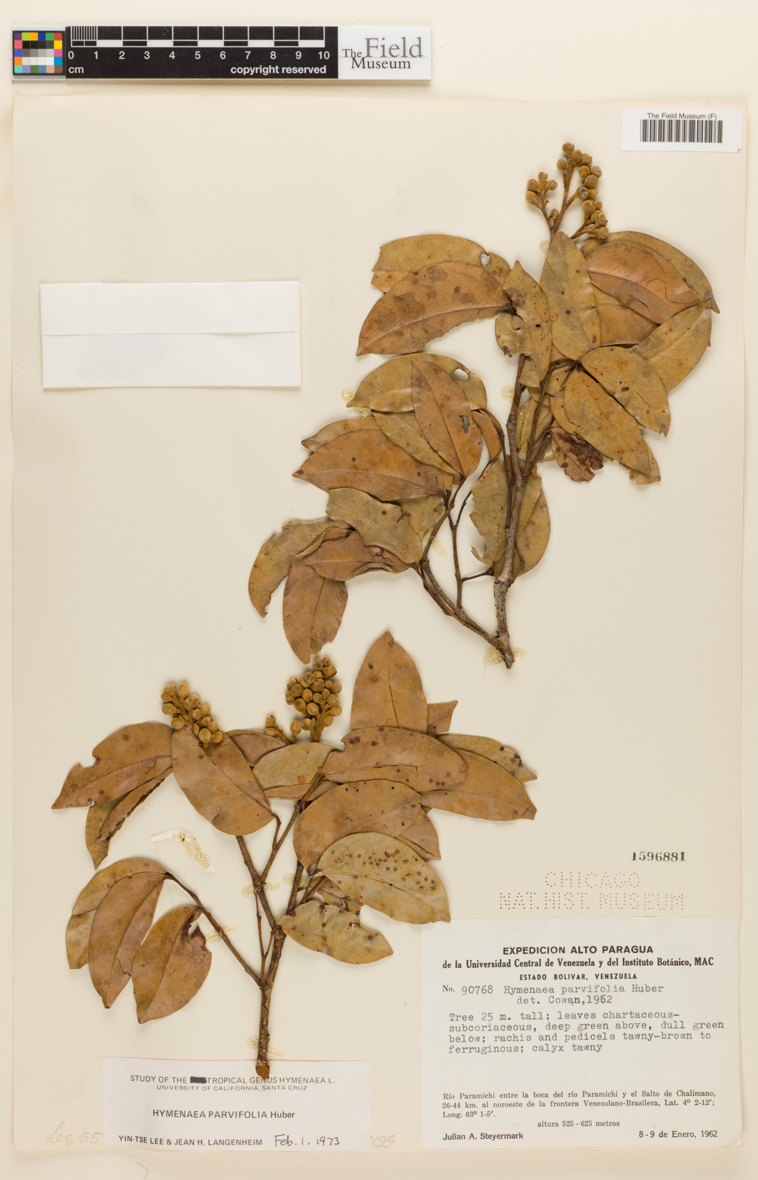 Catalogue | Botanical Collections