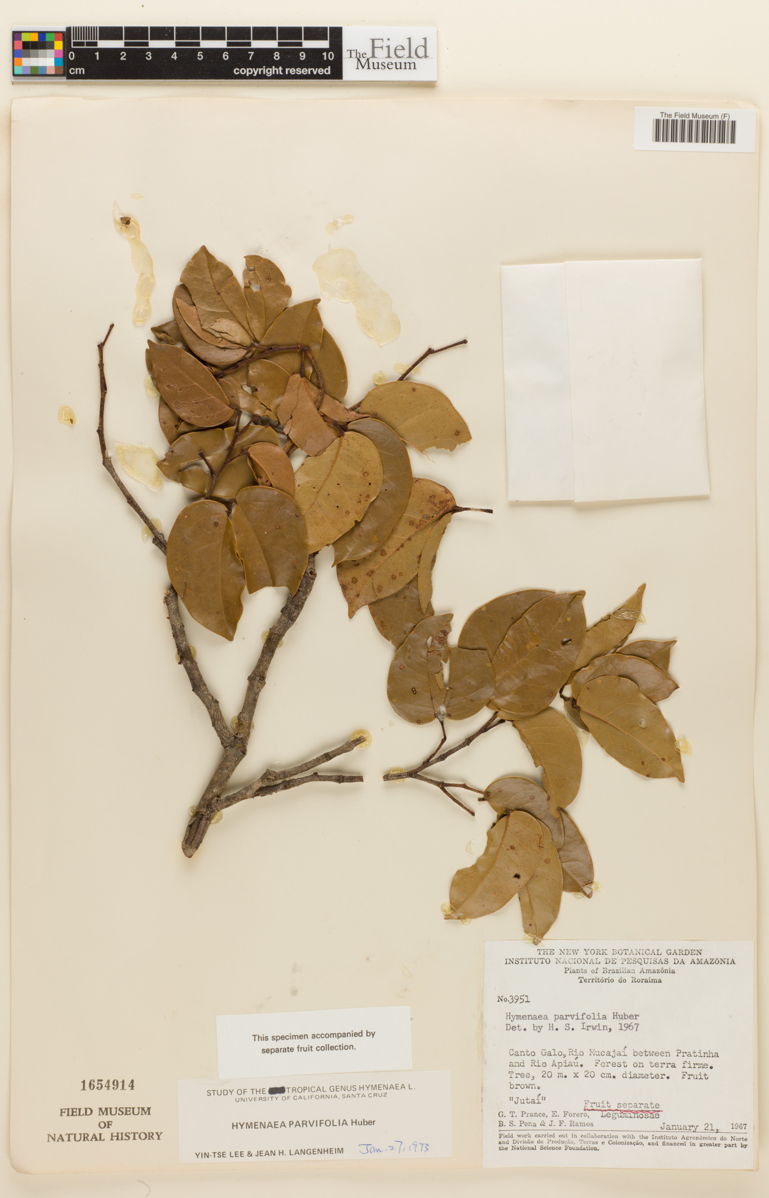 Catalogue | Botanical Collections