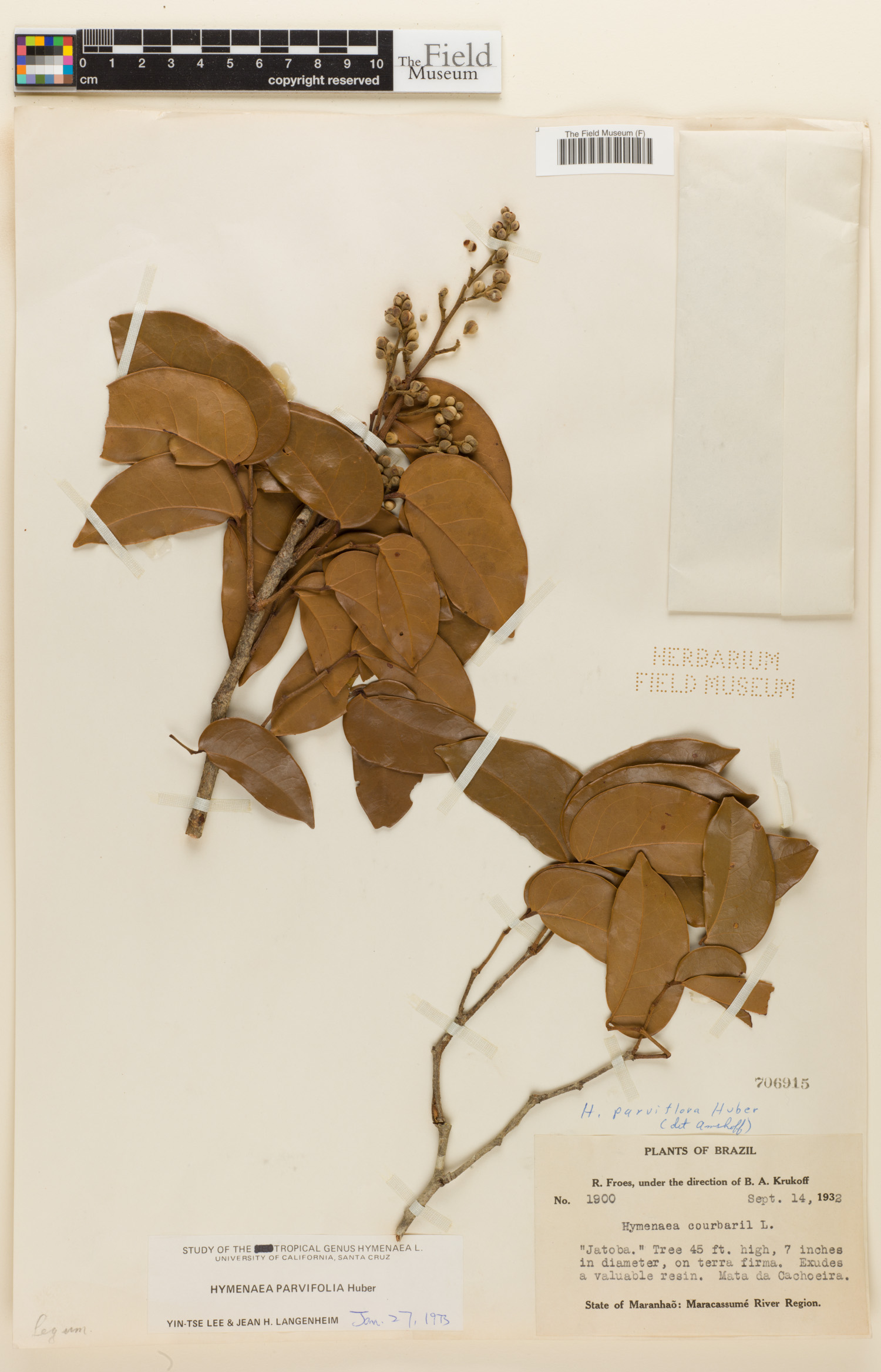 Catalogue | Botanical Collections