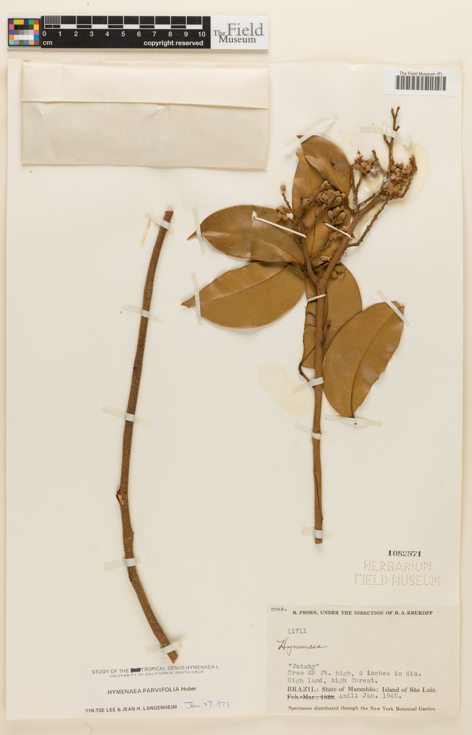 Catalogue | Botanical Collections