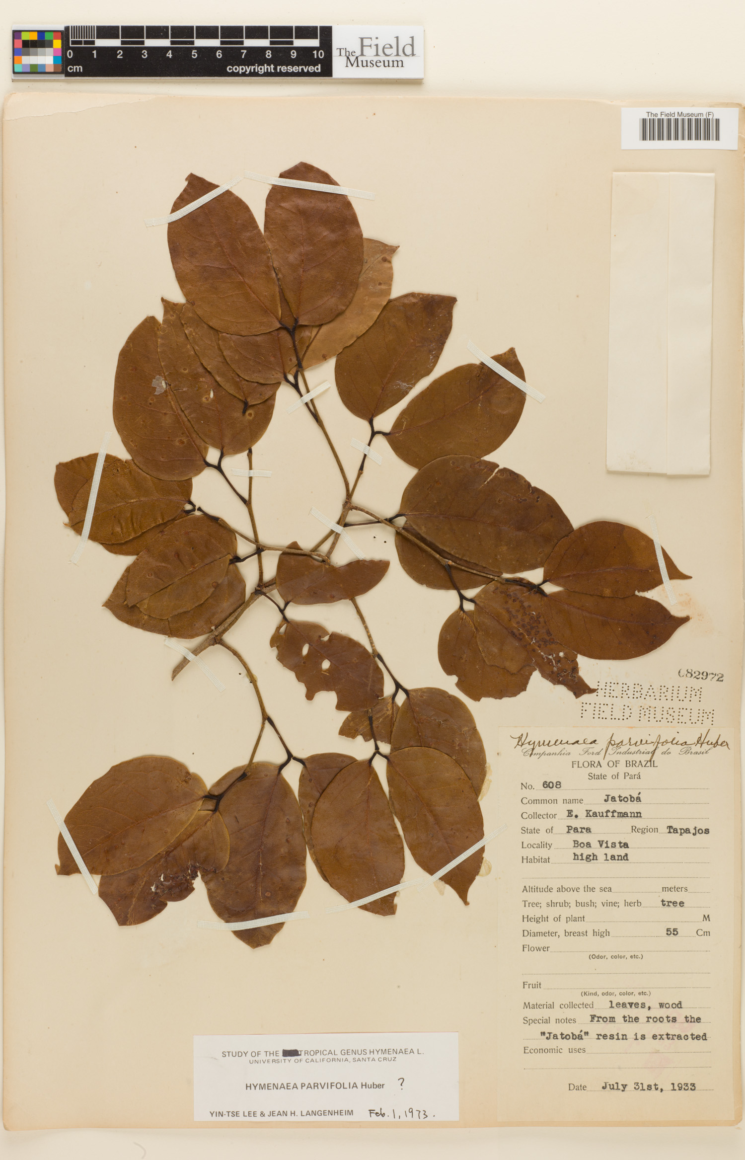 Catalogue | Botanical Collections