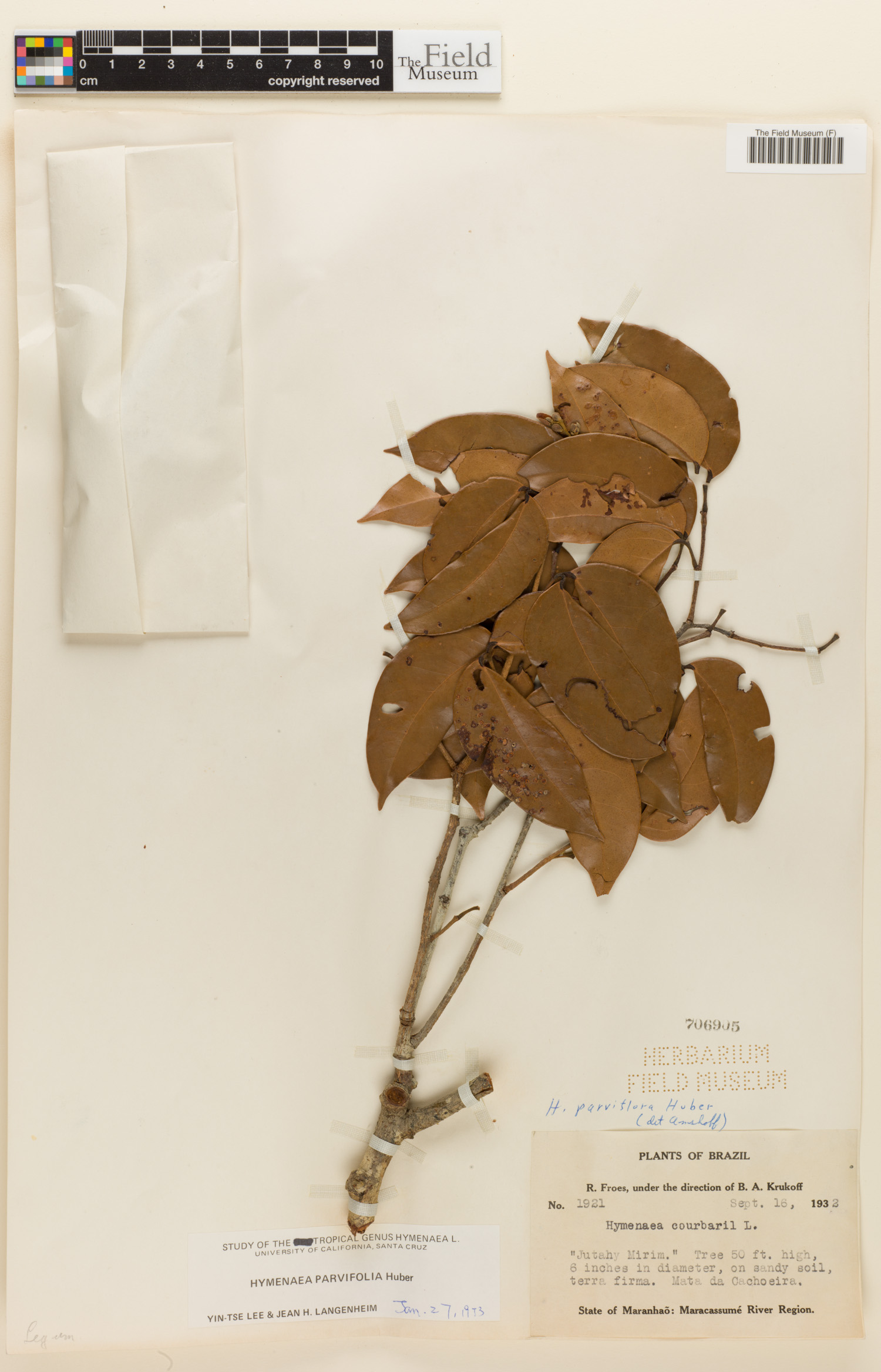 Catalogue | Botanical Collections