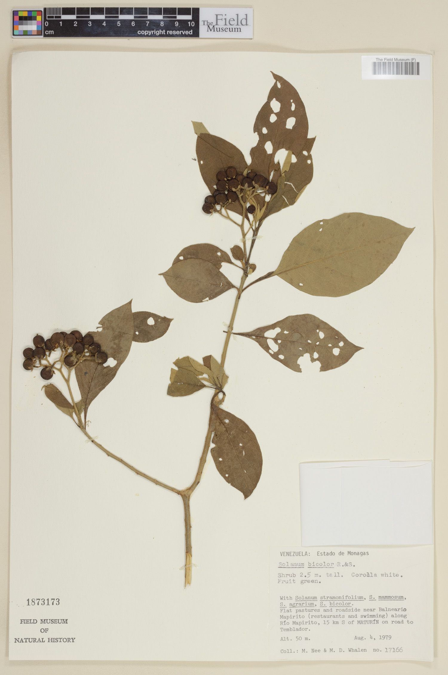 HVAA - Occurrence Profile