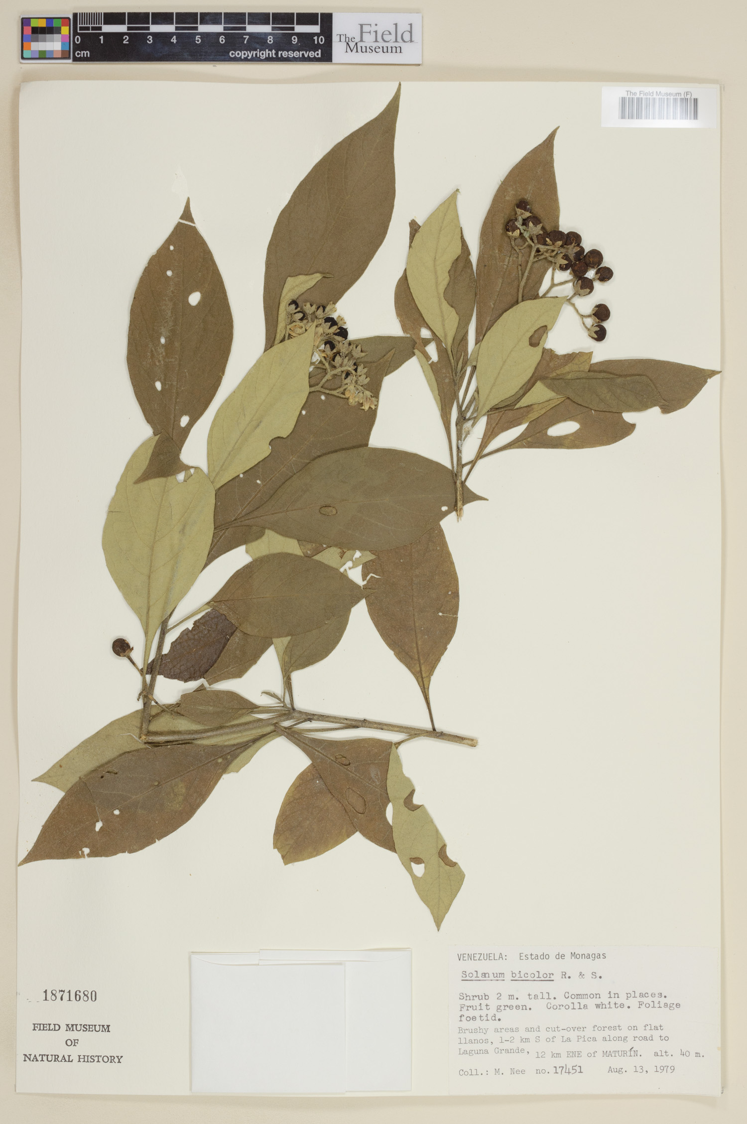 HVAA - Occurrence Profile