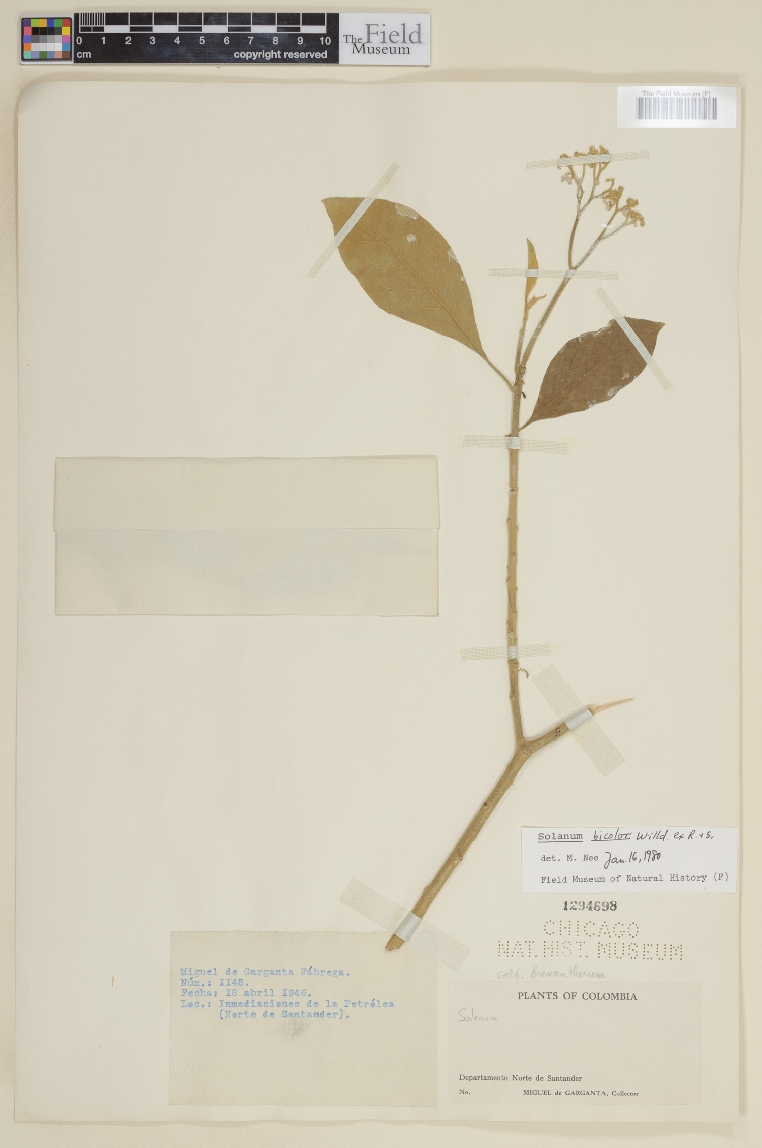 HVAA - Occurrence Profile