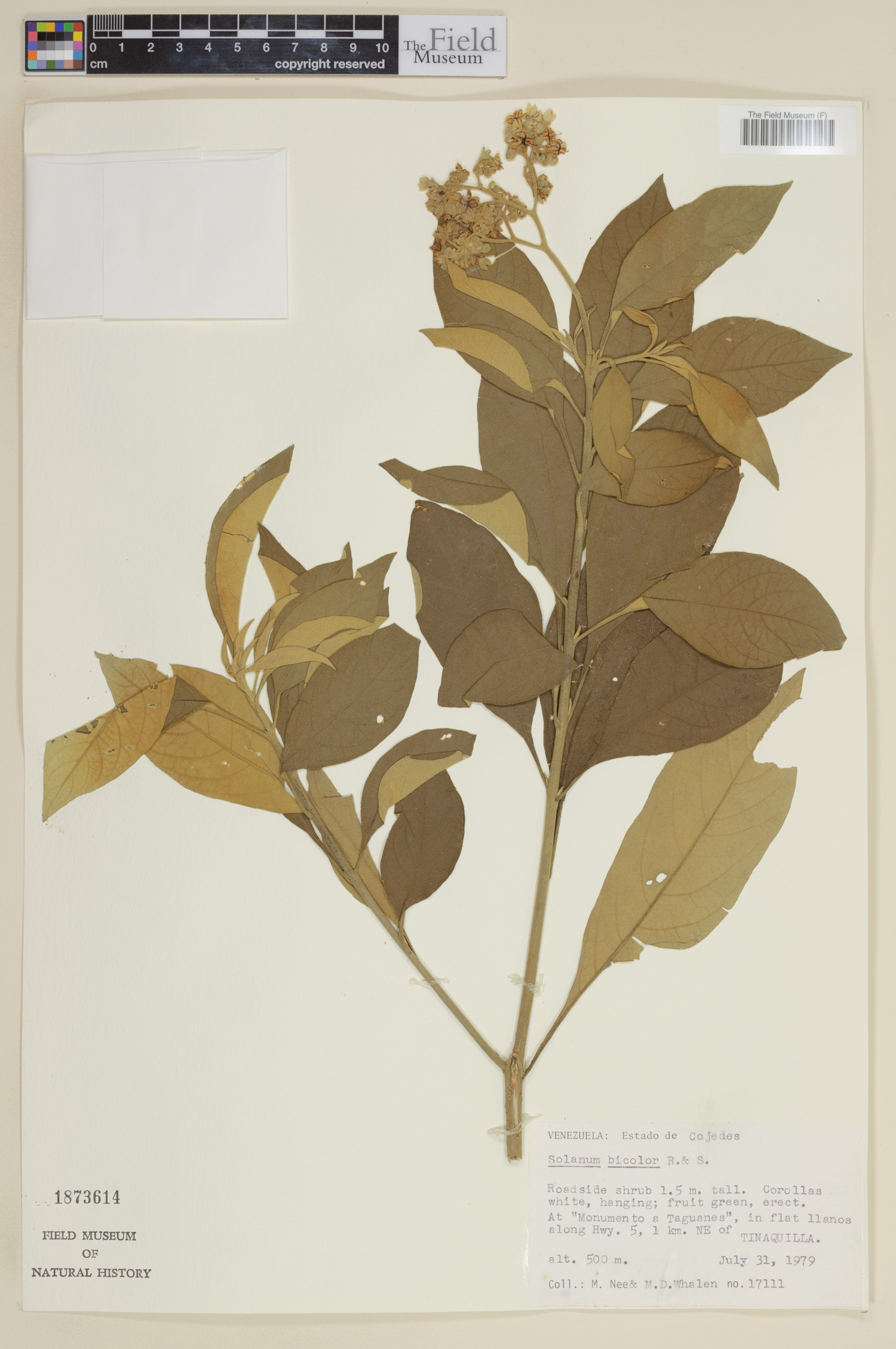 HVAA - Occurrence Profile