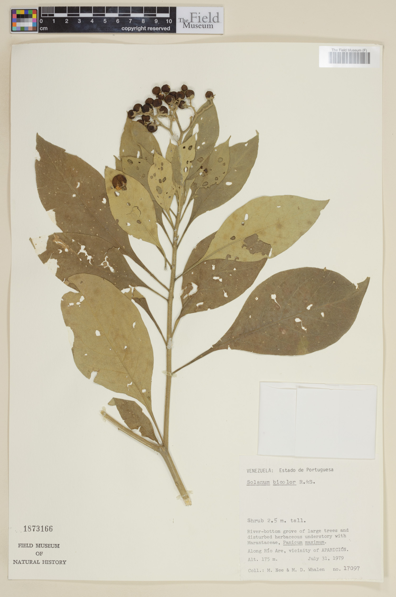 HVAA - Occurrence Profile