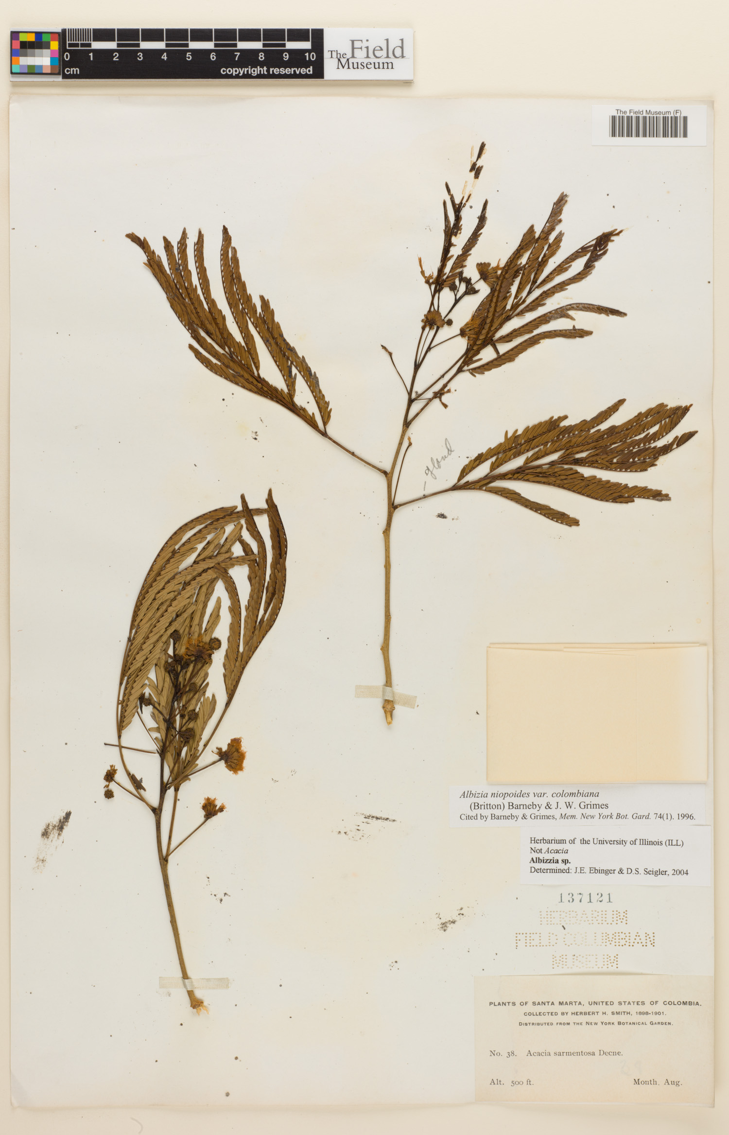 HVAA Detailed Collection Record Information