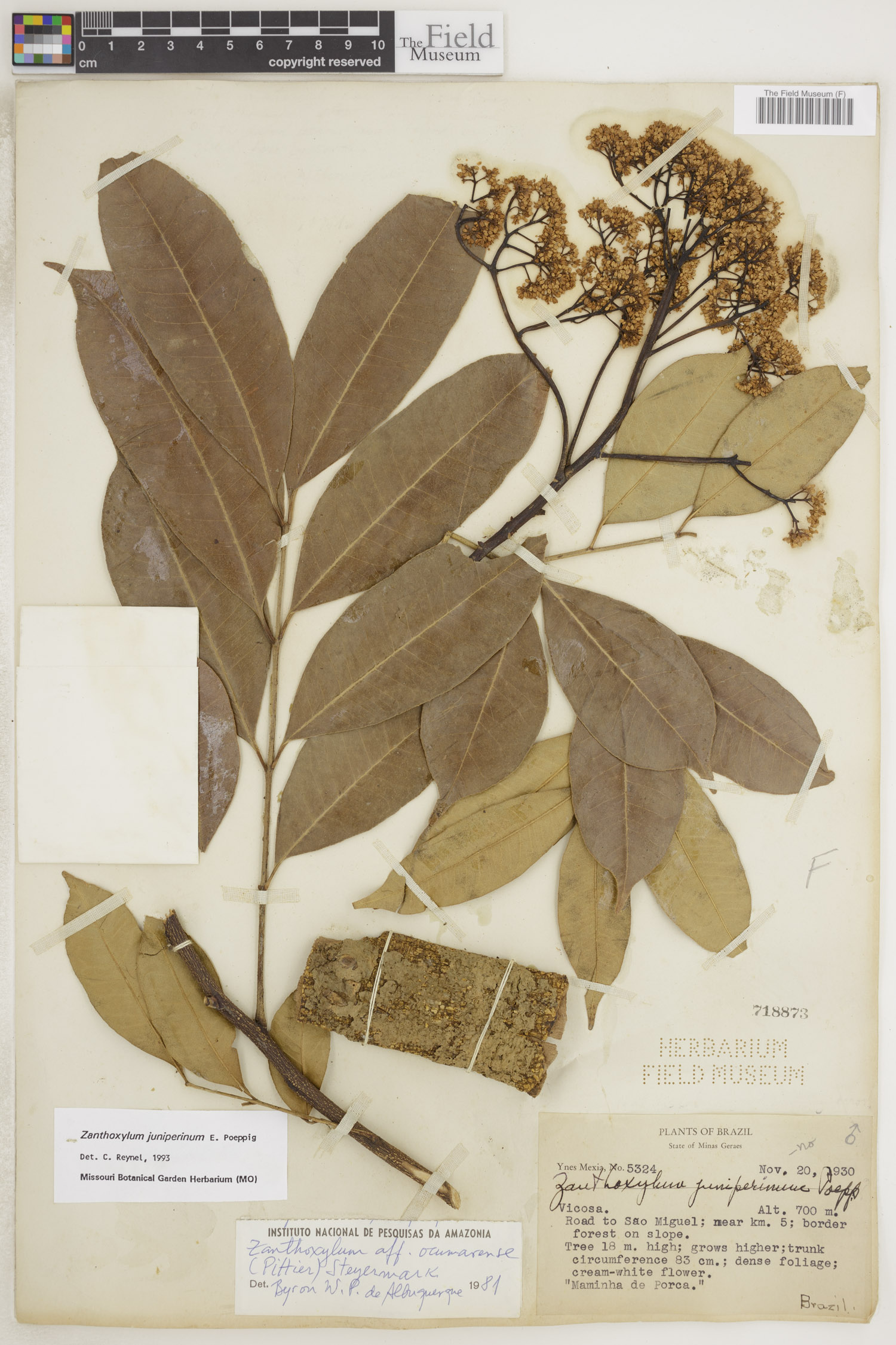 HVAA Detailed Collection Record Information