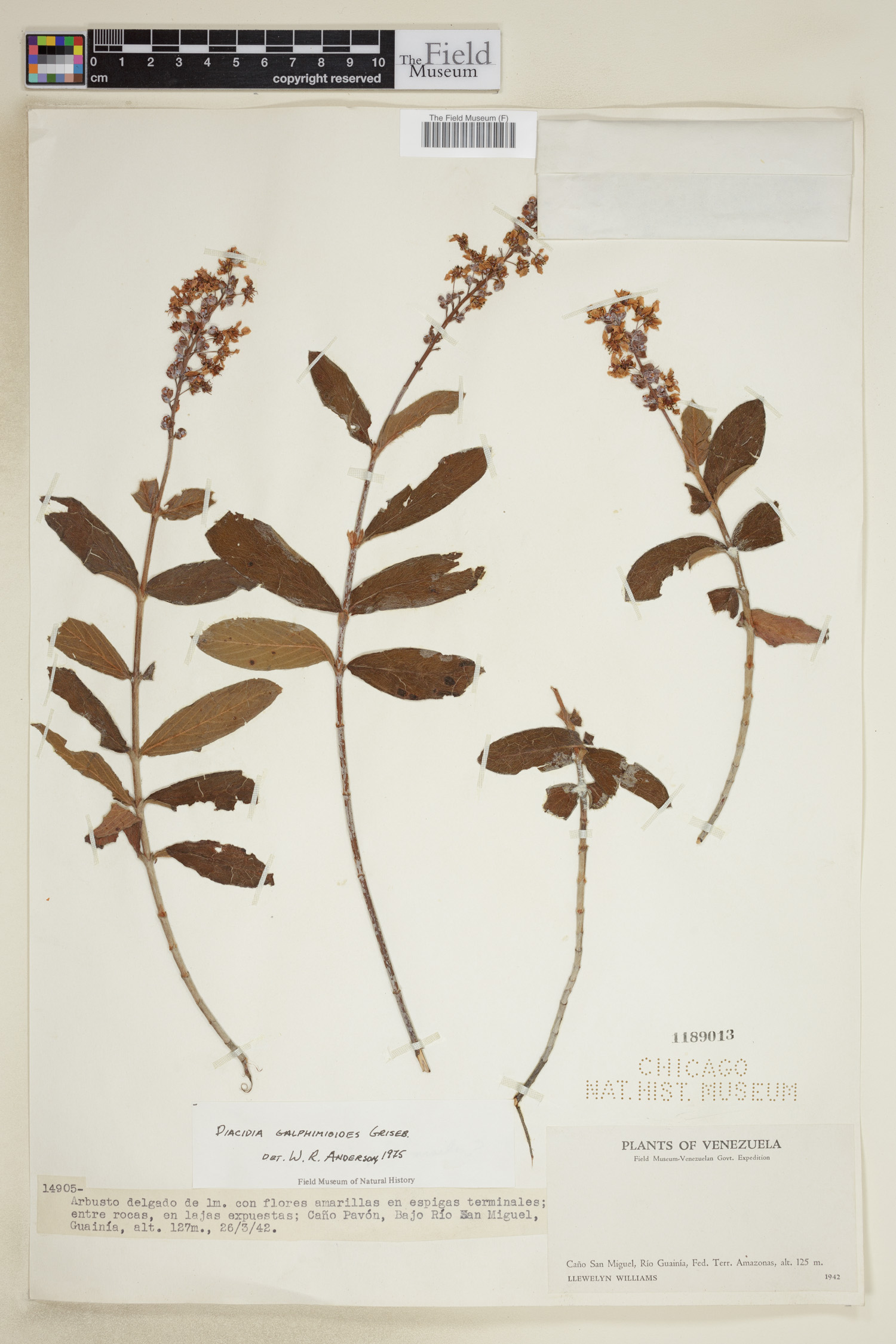 HVAA Detailed Collection Record Information