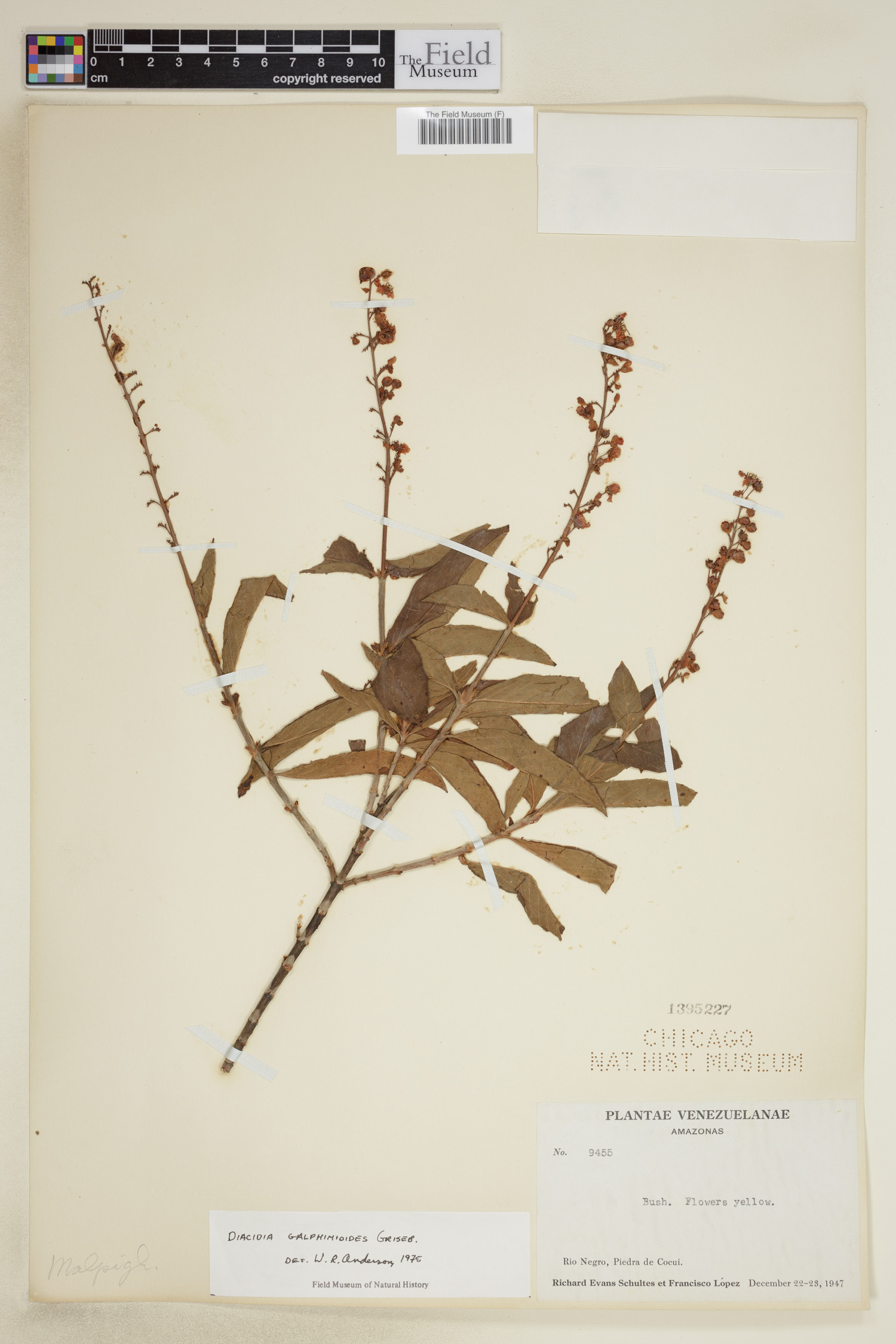 HVAA - Occurrence Profile