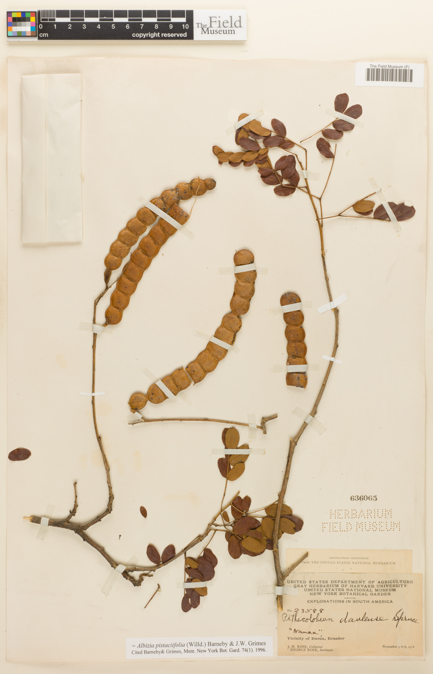 HVAA Detailed Collection Record Information