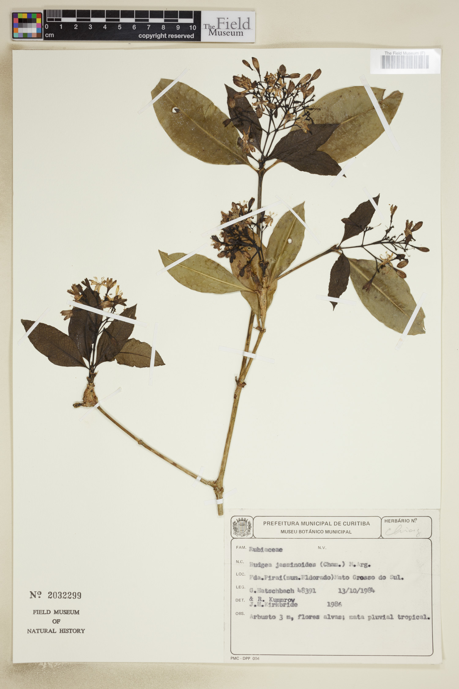 HVAA - Occurrence Profile