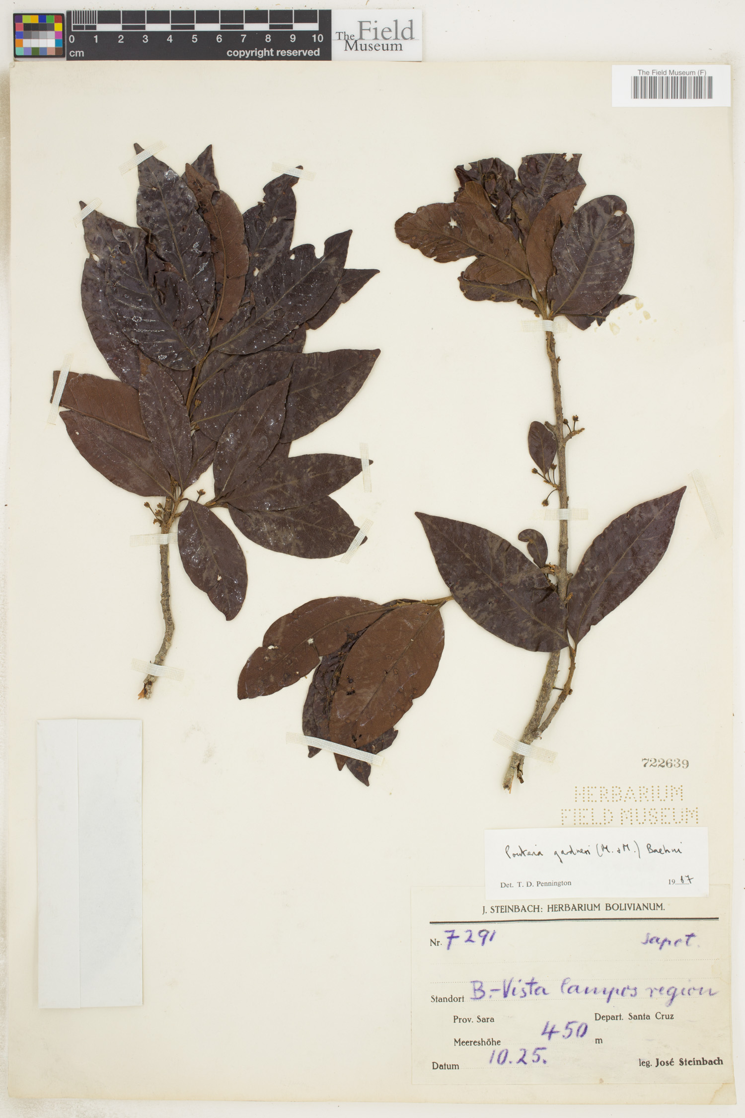 HVAA - Occurrence Profile